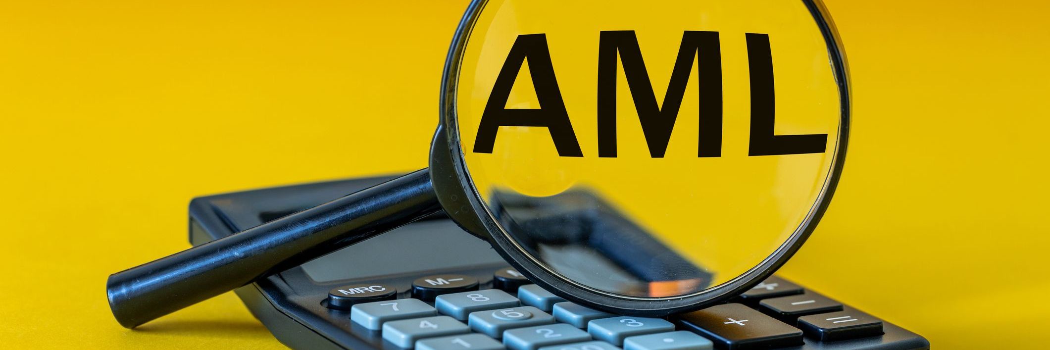 SRA AML Annual Report 2023-24 - Facts, Figures & Findings! - MBL Seminars